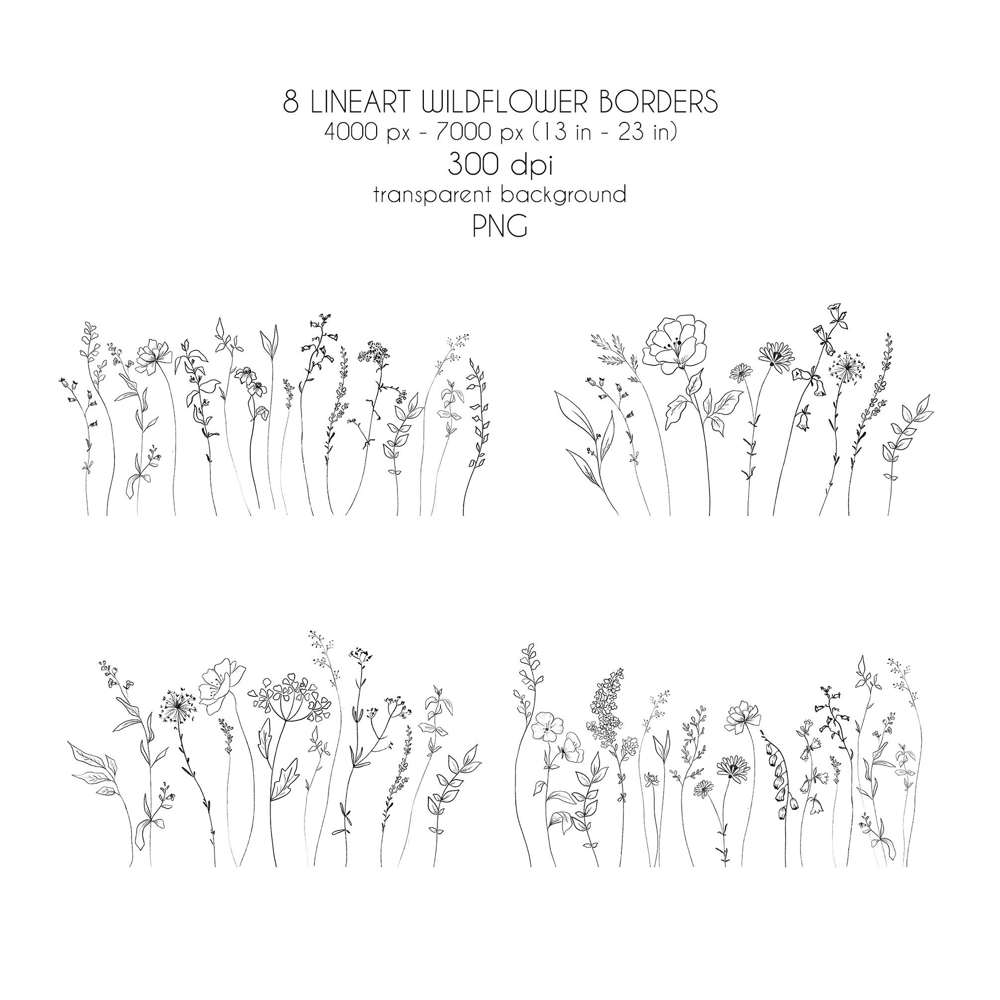 Wildflower Borders Clipart, Flower Meadow PNG, Flower Borders Lineart ...