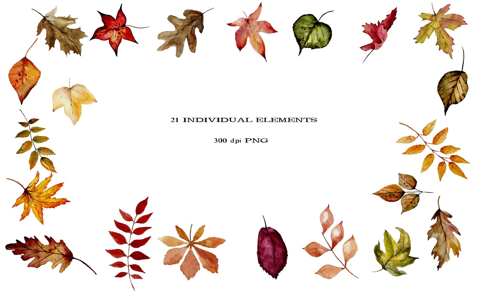 Watercolor Fall Leaves Clipart, Autumn Clipart, Woodland, Rustic ...