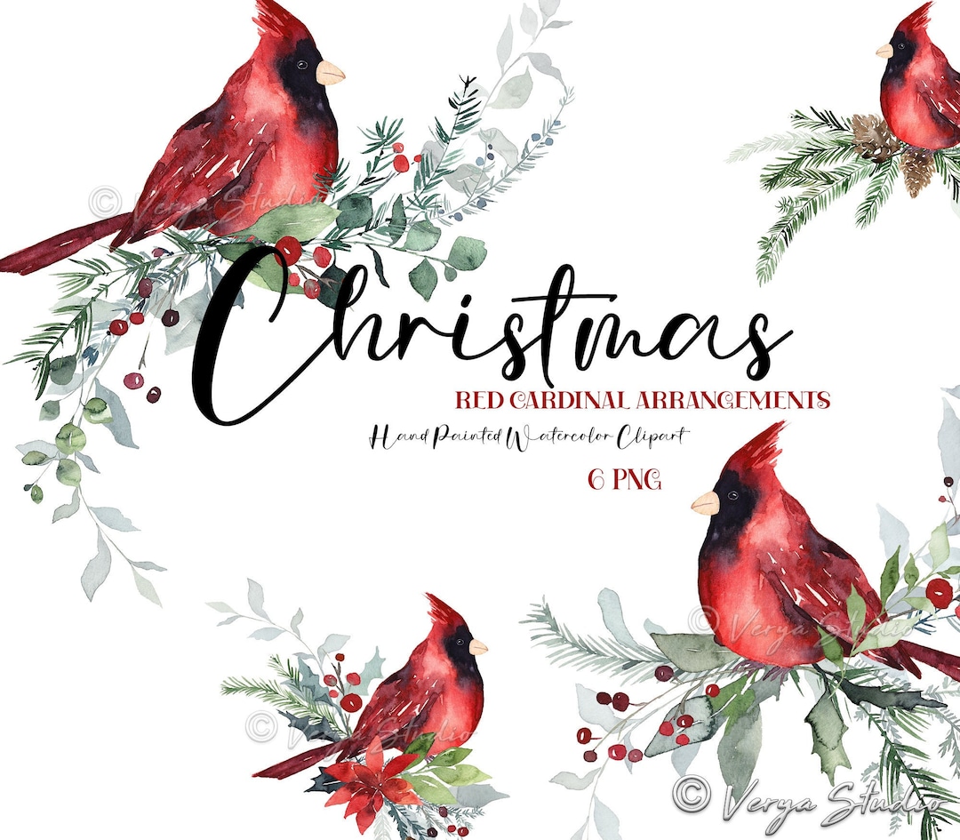 Red Cardinal Christmas Clipart Watercolor Xmas Clip Art Winter Bird ...