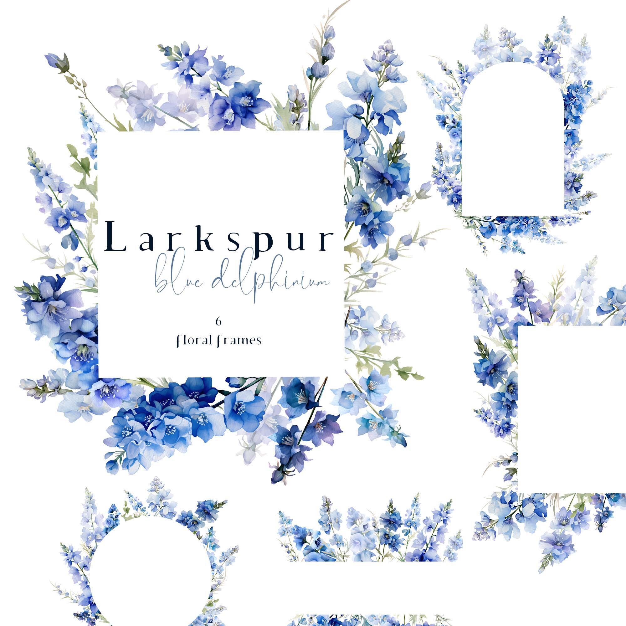 Spring Floral Clipart Larkspur Blue Delphinium Clip Art 6 Frames ...