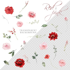 Crimson Floral Clipart Watercolor Red Blush Flowers Clip Art Wedding ...