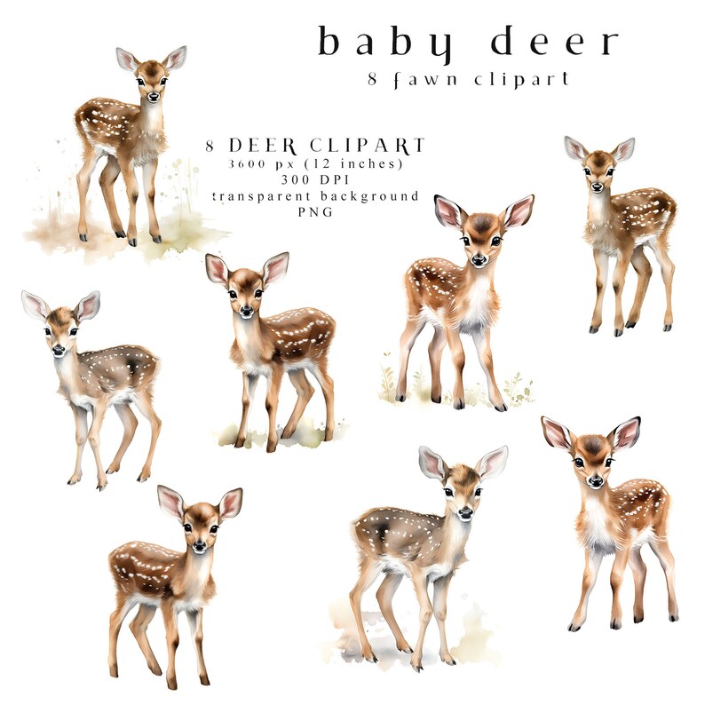 Deer Clipart Watercolor Cute Baby Deer Clip Art 8 PNG Bundle Fawn ...