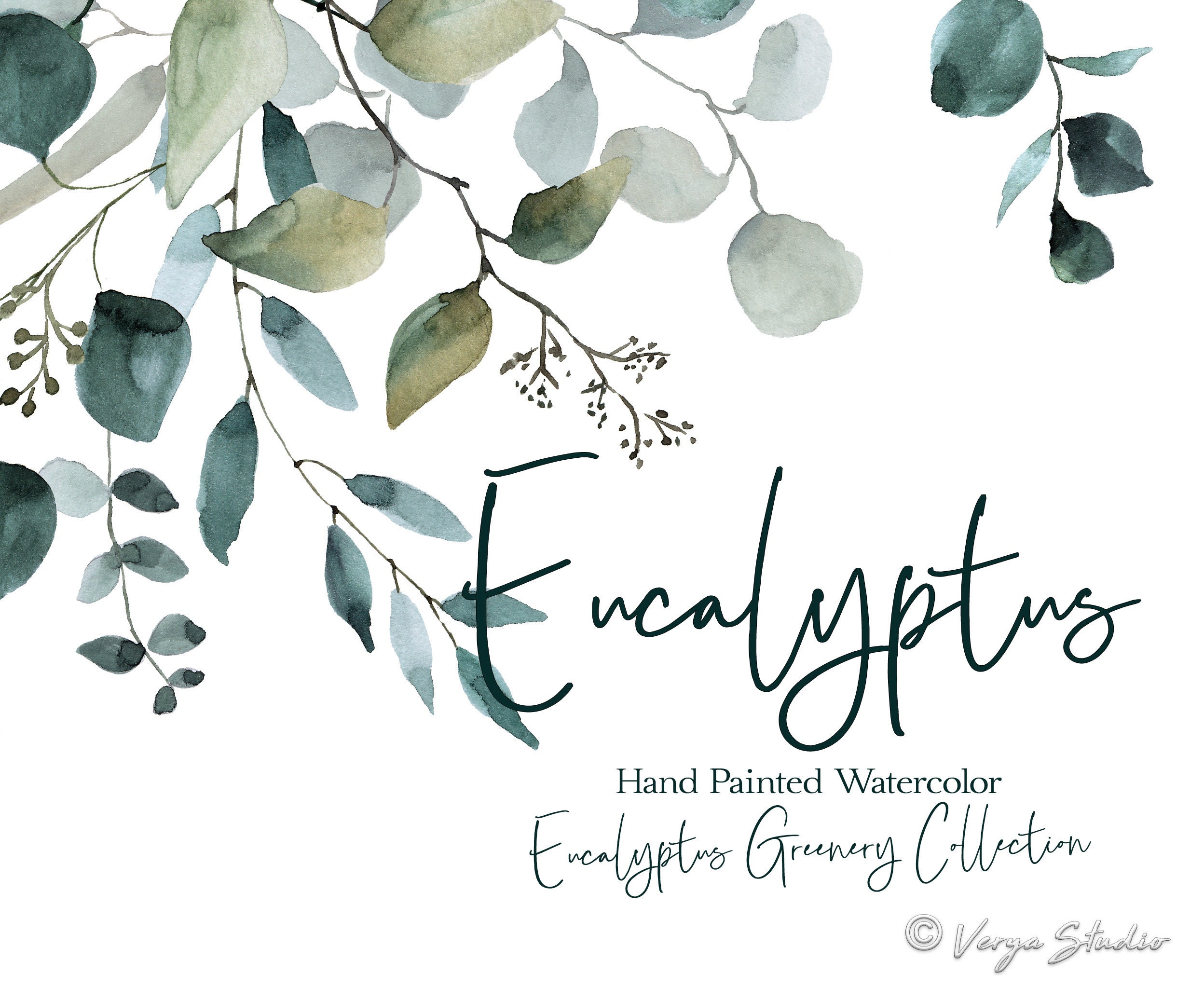 Watercolor Eucalyptus Greenery Clipart Floral Clip Art - Etsy