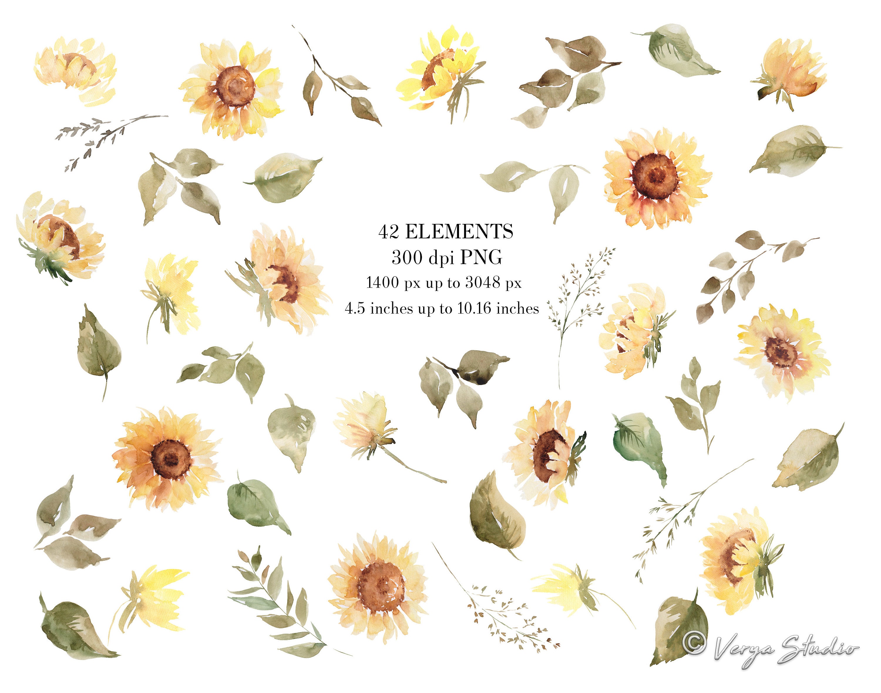 Sunflowers Clipart Watercolor Floral Clip Art Sunflower Yellow - Etsy
