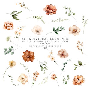 Rust Floral Clipart Watercolor Fall Flowers Clip Art Burnt Orange Beige ...