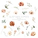 Rust Floral Clipart Watercolor Fall Flowers Clip Art Burnt Orange Beige ...