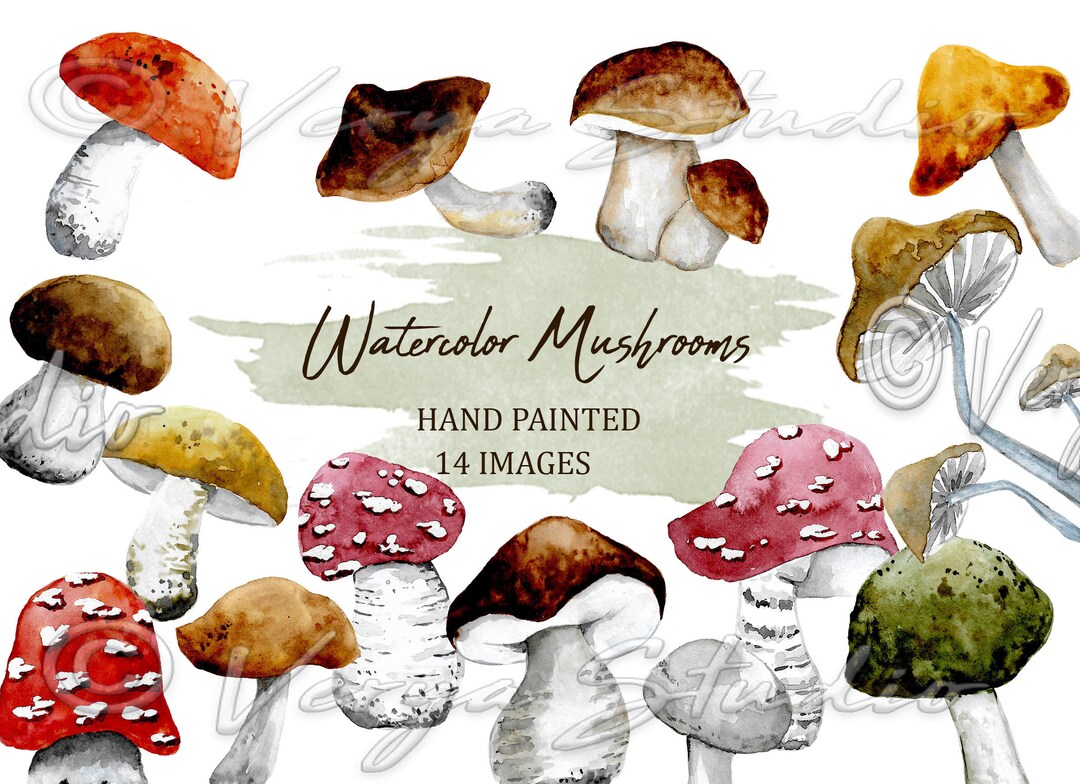 Watercolor Mushrooms Clipart, Forest Clip Art, Autumn, Fall, Fairytale ...