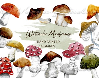 Mushroom Clipart, Fall Watercolor Clip Art, Woodland Illustration, PNG ...
