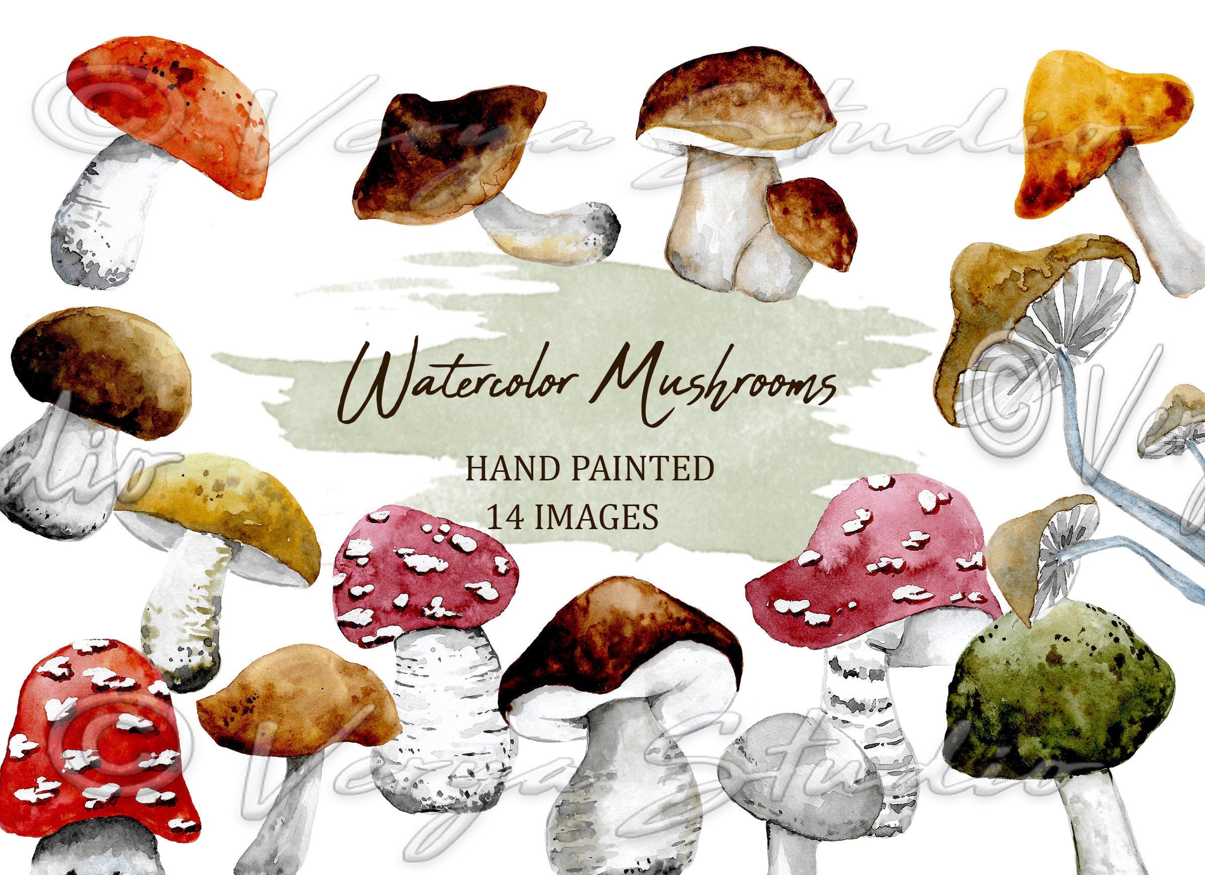 Watercolor Mushrooms Clipart Forest Clip Art Autumn Fall | Etsy