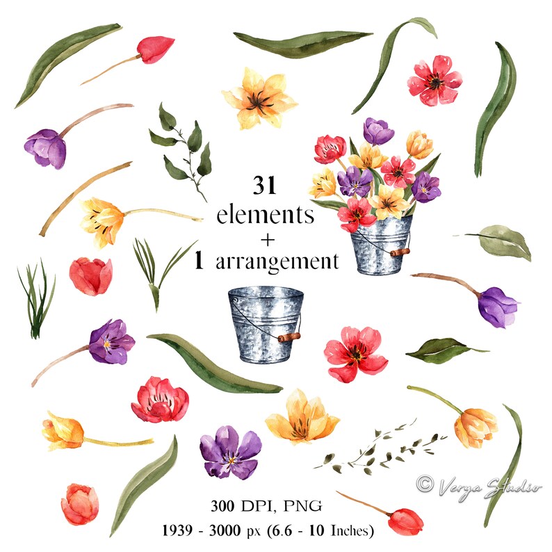 Tulips Watercolor Floral Clipart Spring Clip Art Easter - Etsy