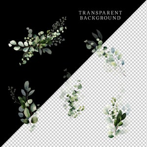 Eucalyptus Clipart Watercolor Leaves, Eucalyptus Borders PNG, Green ...