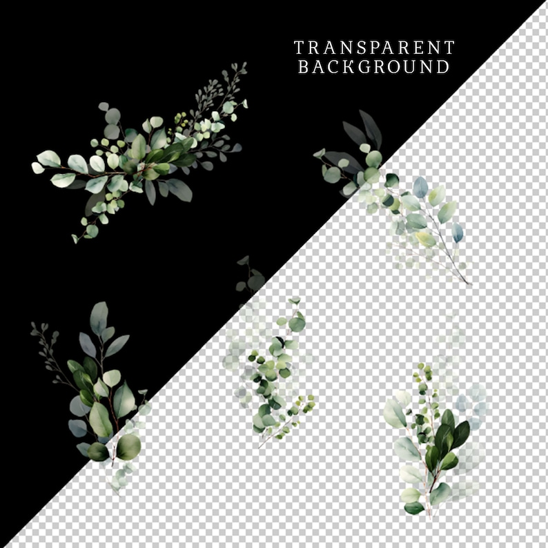 Eucalyptus Clipart Watercolor Leaves, Eucalyptus Borders PNG, Green ...
