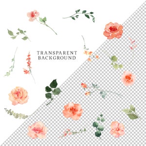 Peachy Floral Clipart Watercolor Peach Orange Flowers Clip Art Coral ...