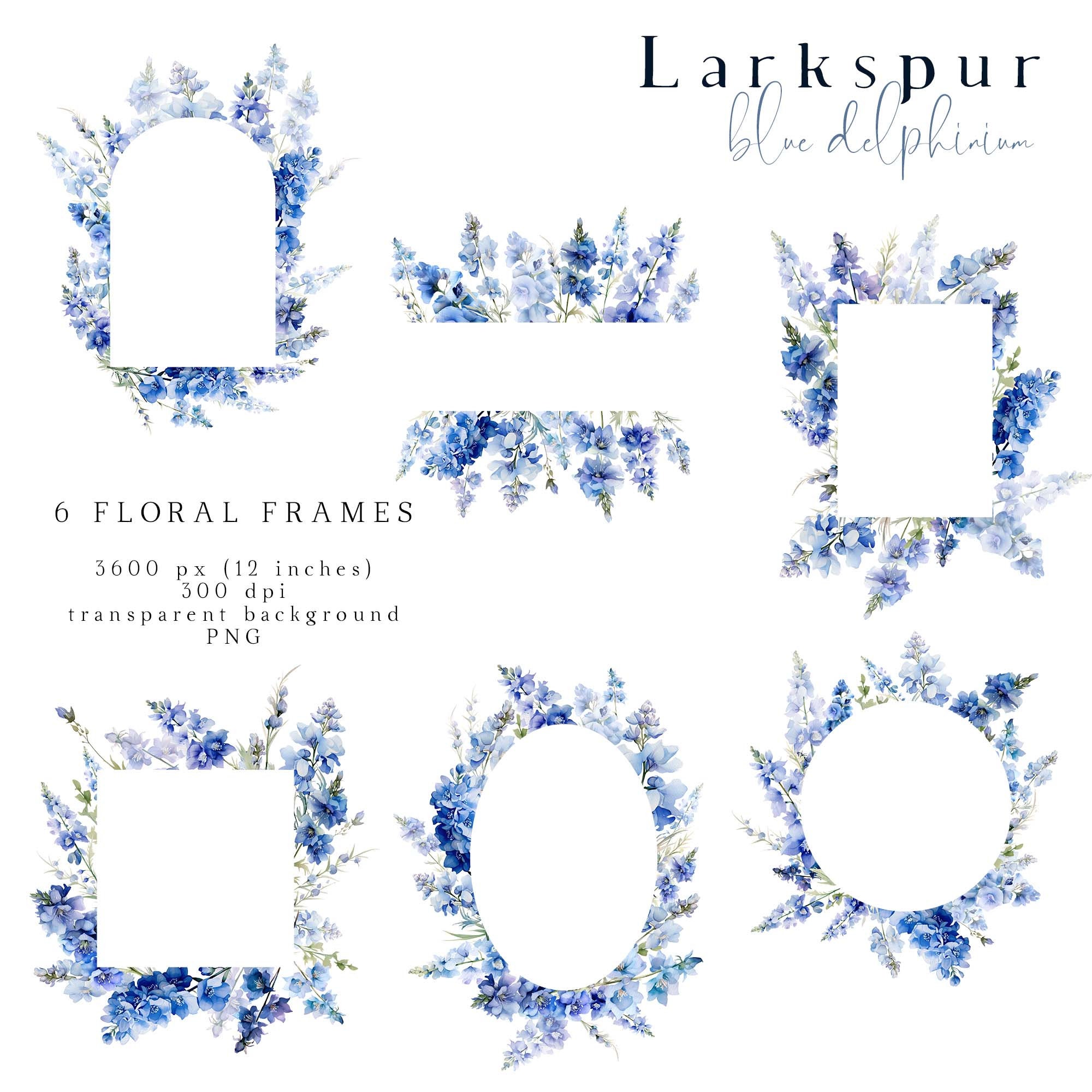 Spring Floral Clipart Larkspur Blue Delphinium Clip Art 6 Frames ...