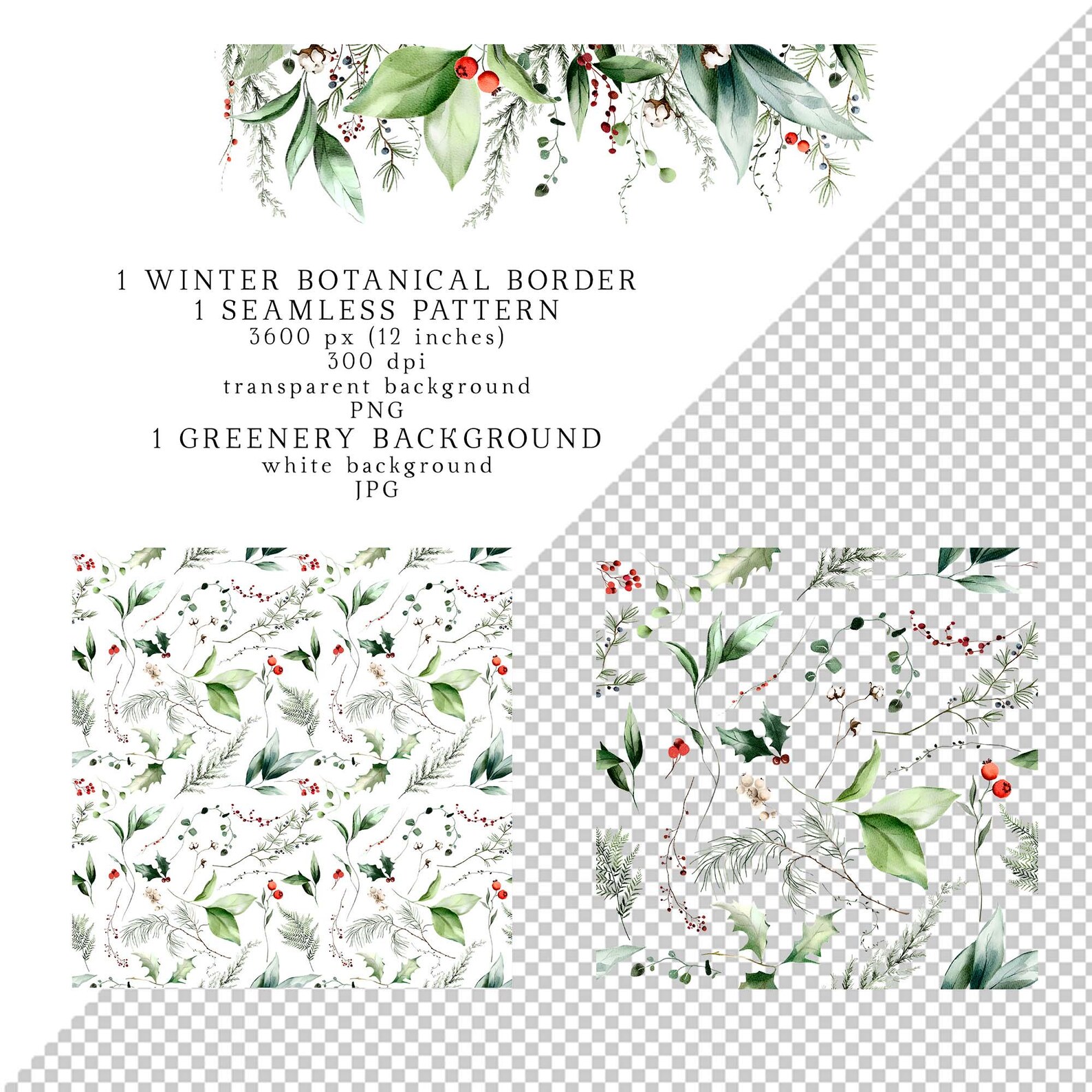 Winter Eleganz Weihnachten Clipart Grün Kränze Aquarell Musterdesign ...