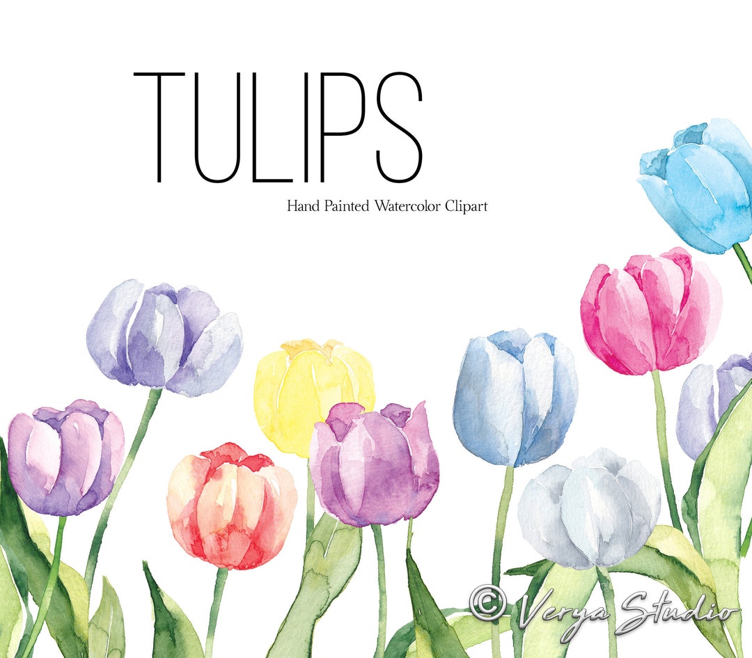 Spring Clipart Watercolor Tulips Clip Art Easter Clipart Frames Bouquet ...