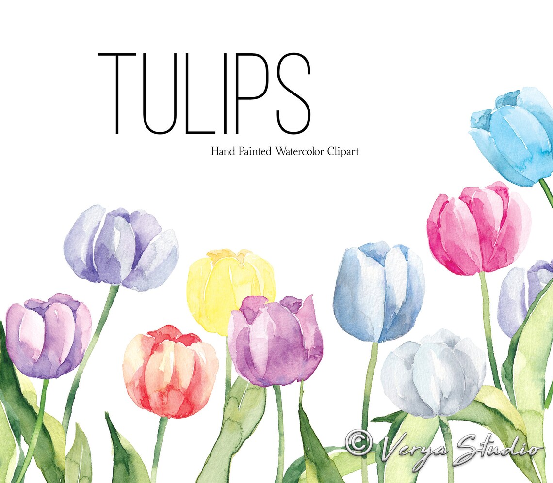 Spring Clipart Watercolor Tulips Clip Art Easter Clipart - Etsy
