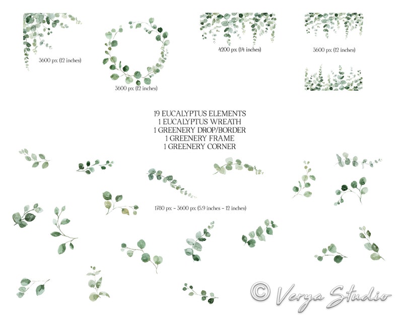 Greenery Clipart Watercolor Eucalyptus Clip Art Green Foliage - Etsy