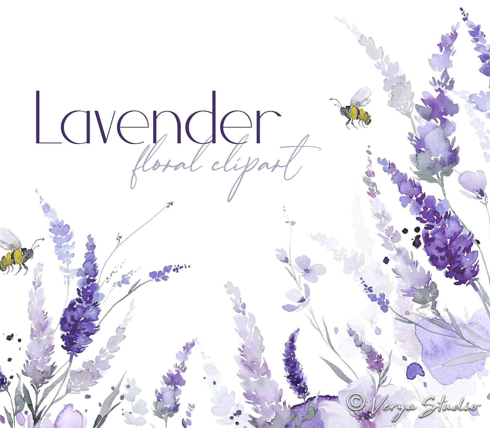 Lavender Clipart Watercolor Floral Clip Art Purple Lilac Violet Flowers ...