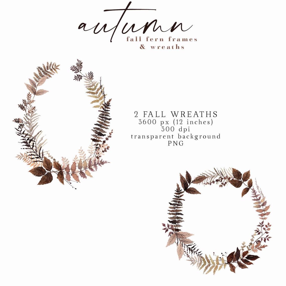 Fern Fall Frames Clipart Watercolor Autumn Clip Art Neutral Foliage ...