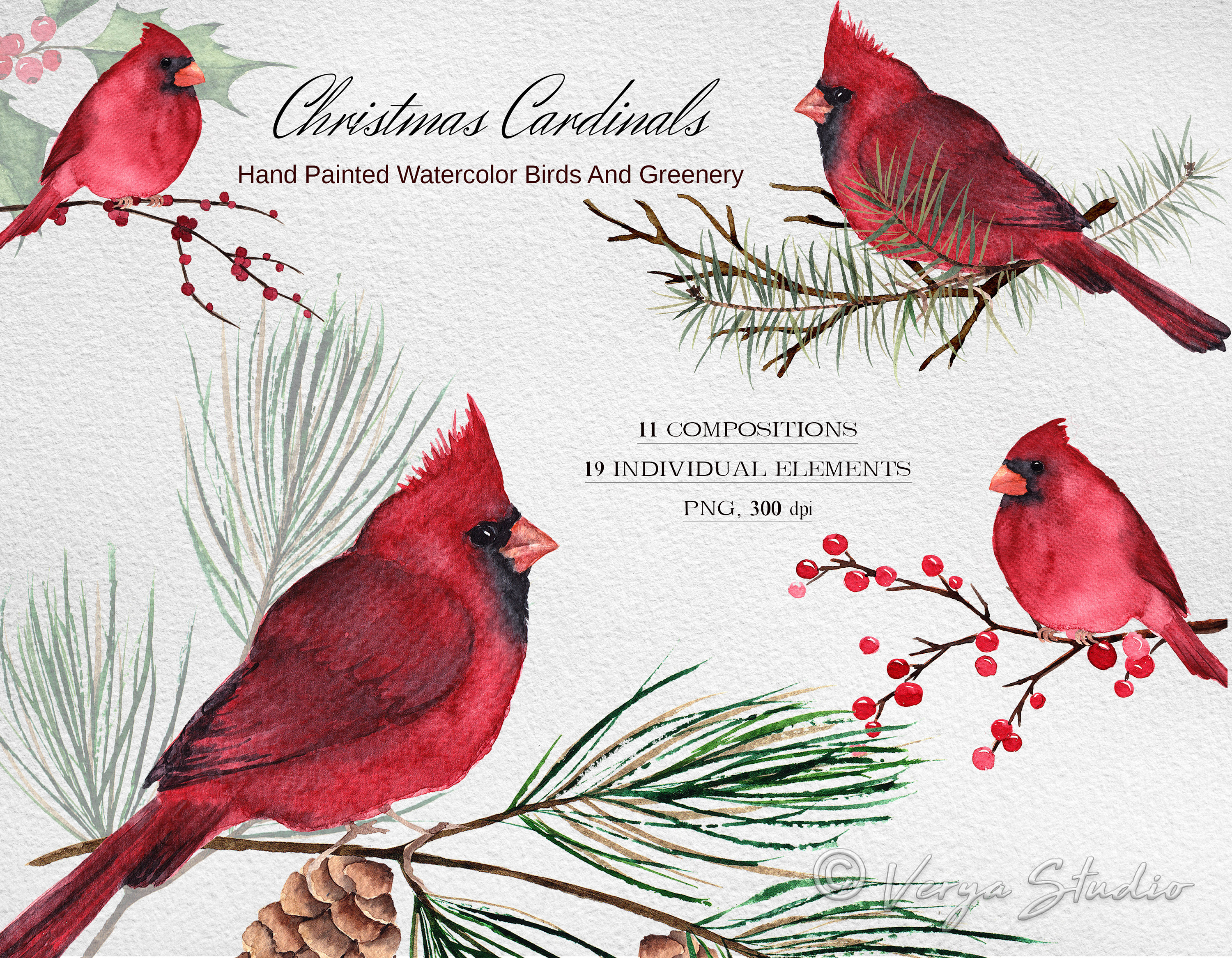 Christmas Cardinal Clipart