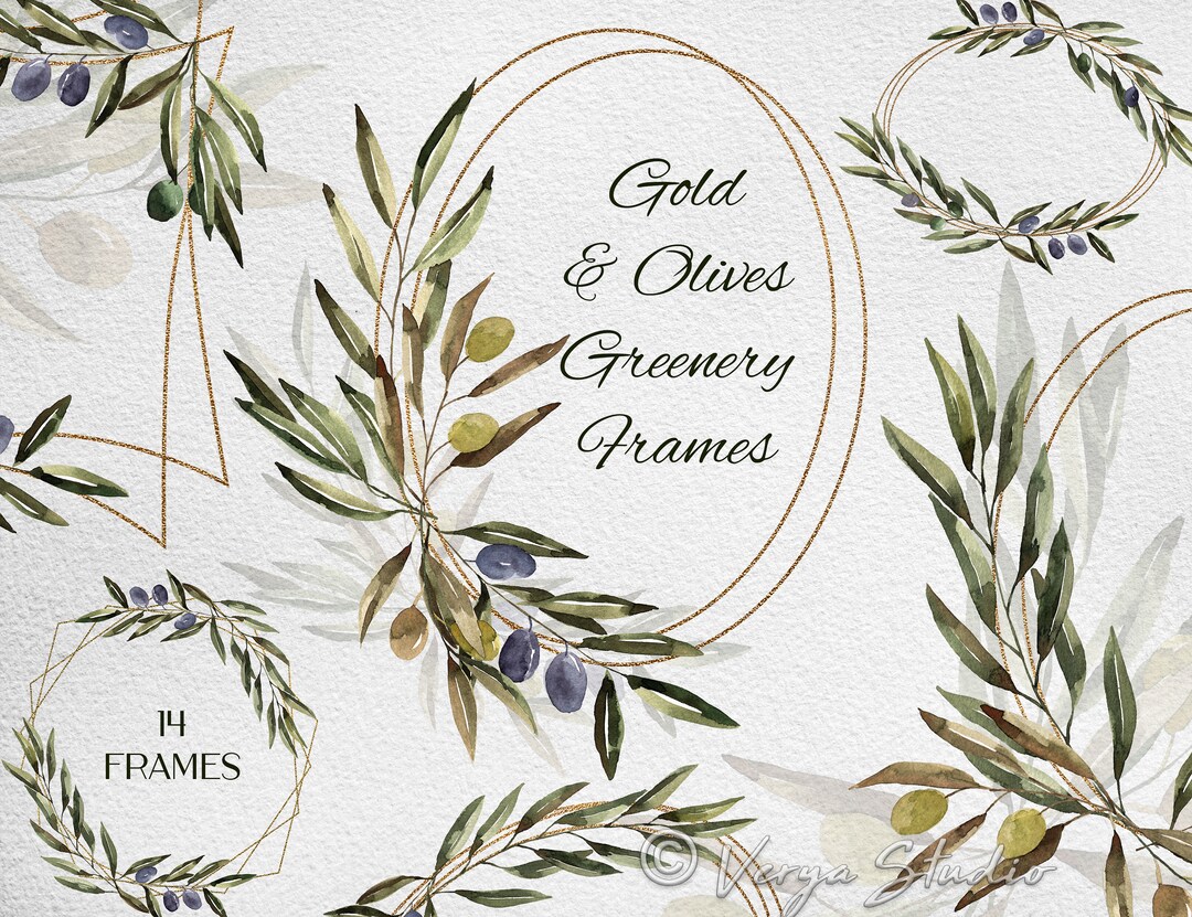 Olive Golden Frames Clipart, Watercolor Olive Branch, Olive Wreath ...