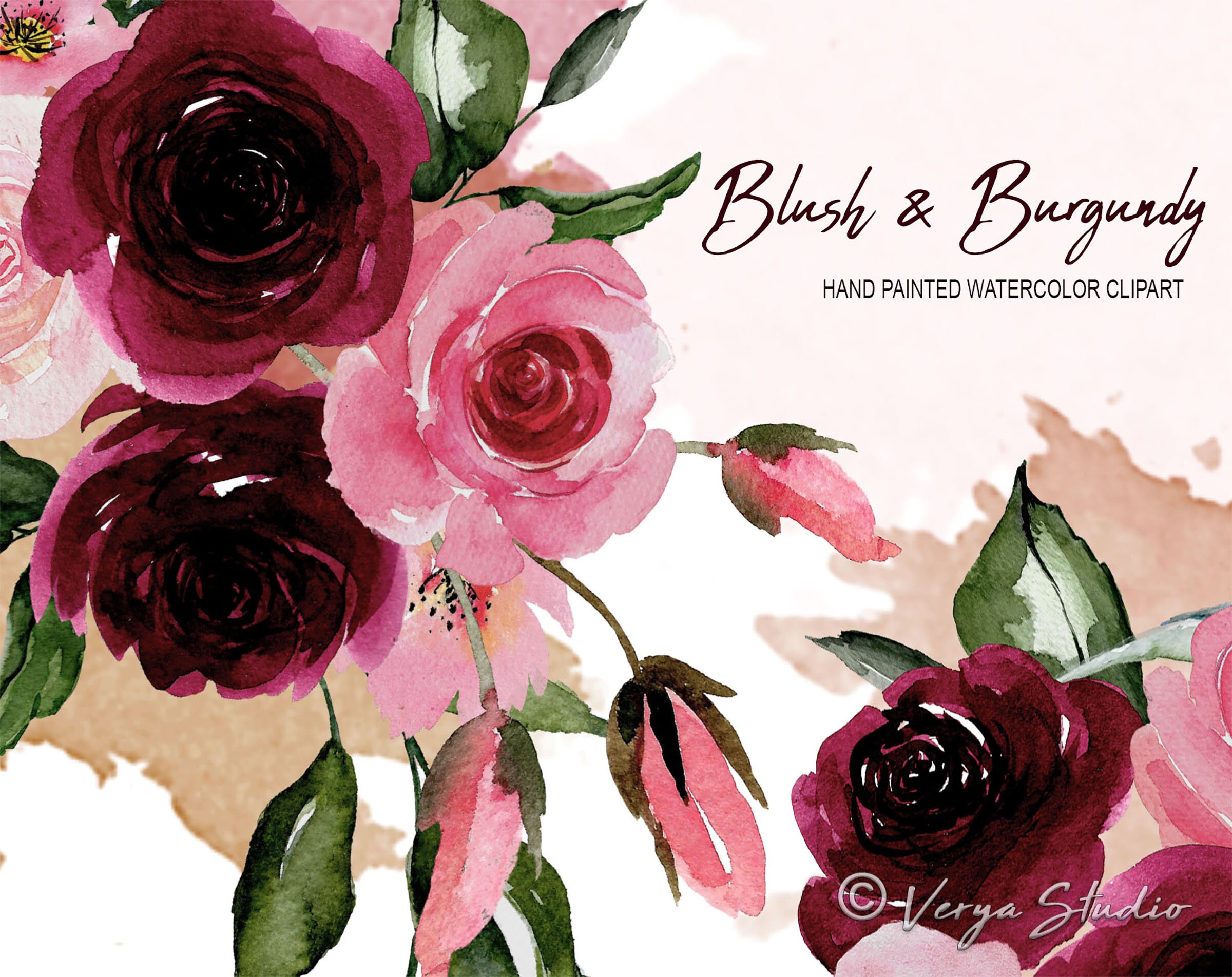 Blush & Burgundy Roses Watercolor Clipart Set Floral Design | Etsy