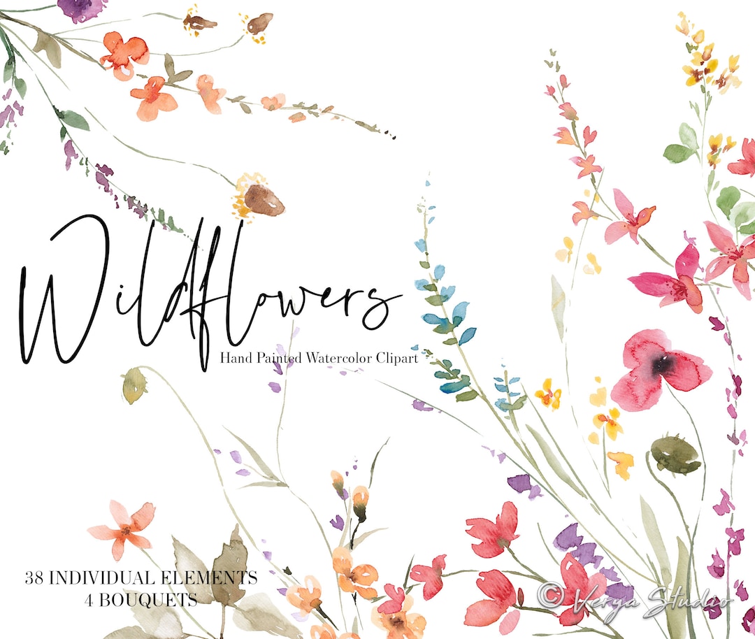 Wildflowers Watercolor Floral Clipart Wild Flowers Wedding Clipart ...