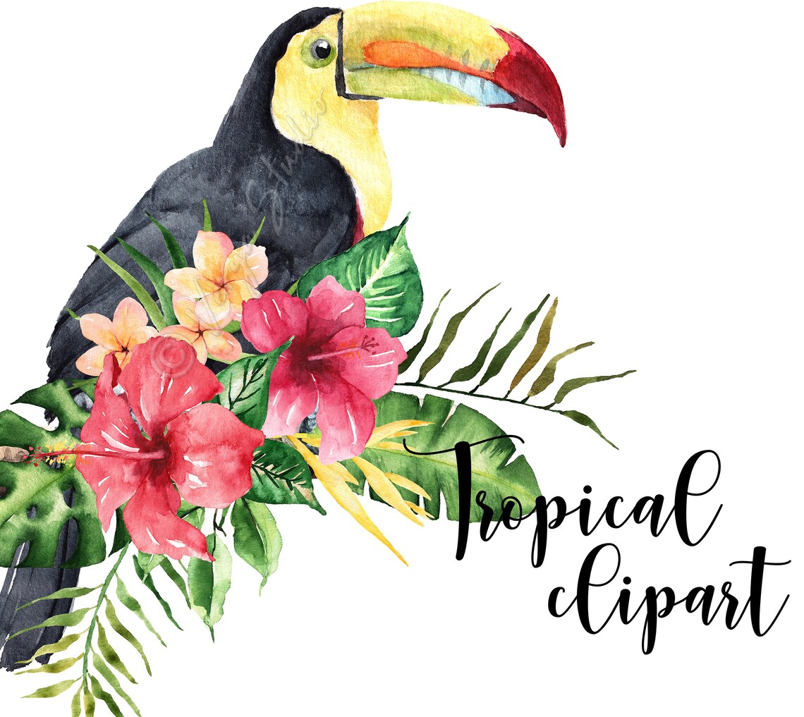 Watercolor Tropical Clipart Summer Floral Clip Art Toucan Bird - Etsy