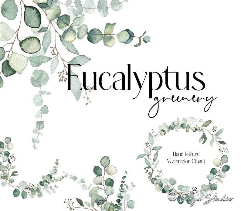 Greenery Clipart Eucalyptus Clip Art Watercolor Foliage - Etsy