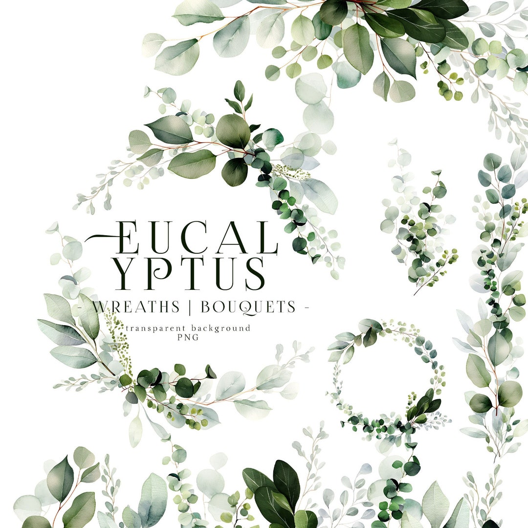 Eucalyptus Clipart Watercolor Leaves, Eucalyptus Borders PNG, Green ...