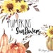 Rustic Watercolor Fall Floral Clipart, Sunflowers Bouquet PNG, Floral ...
