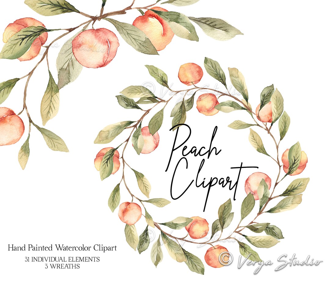 Peach Clipart Watercolor Fruit Clipart Peach Fruit Wreath Clip Art ...
