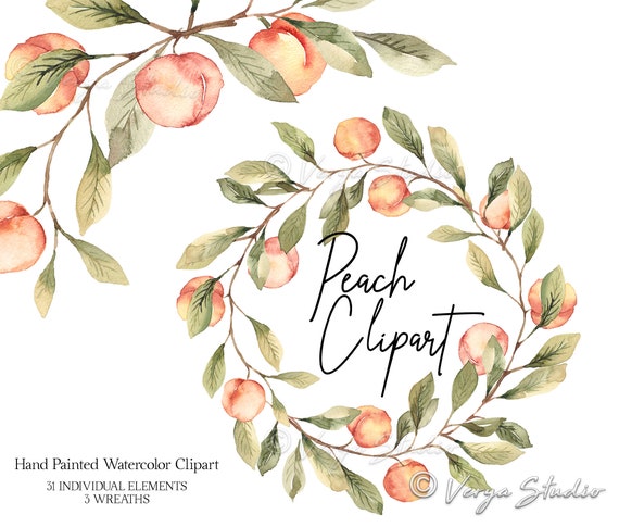 Art & Collectibles Clip Art Peach Clipart Watercolor Peaches Branch ...