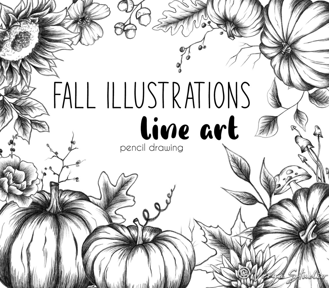 Fall Clipart Autumn Illustrations Clip Art Pumpkins Flowers - Etsy
