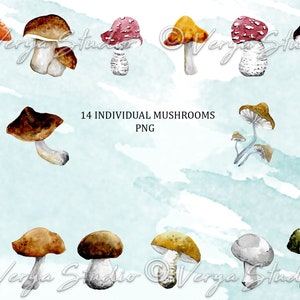 Watercolor Mushrooms Clipart, Forest Clip Art, Autumn, Fall, Fairytale ...