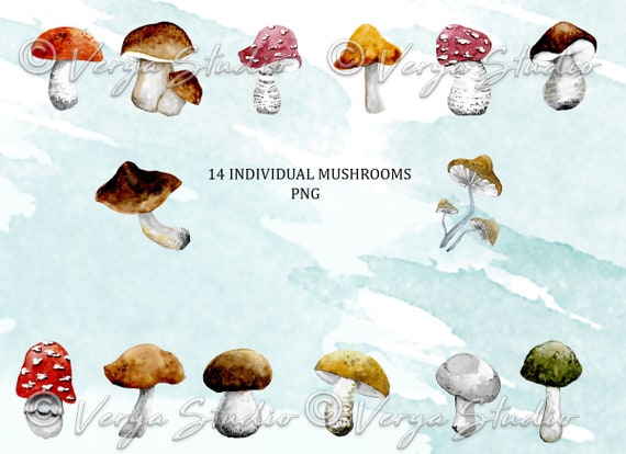 Craft Supplies & Tools Scrapbooking woodland clipart forest mushroom ...