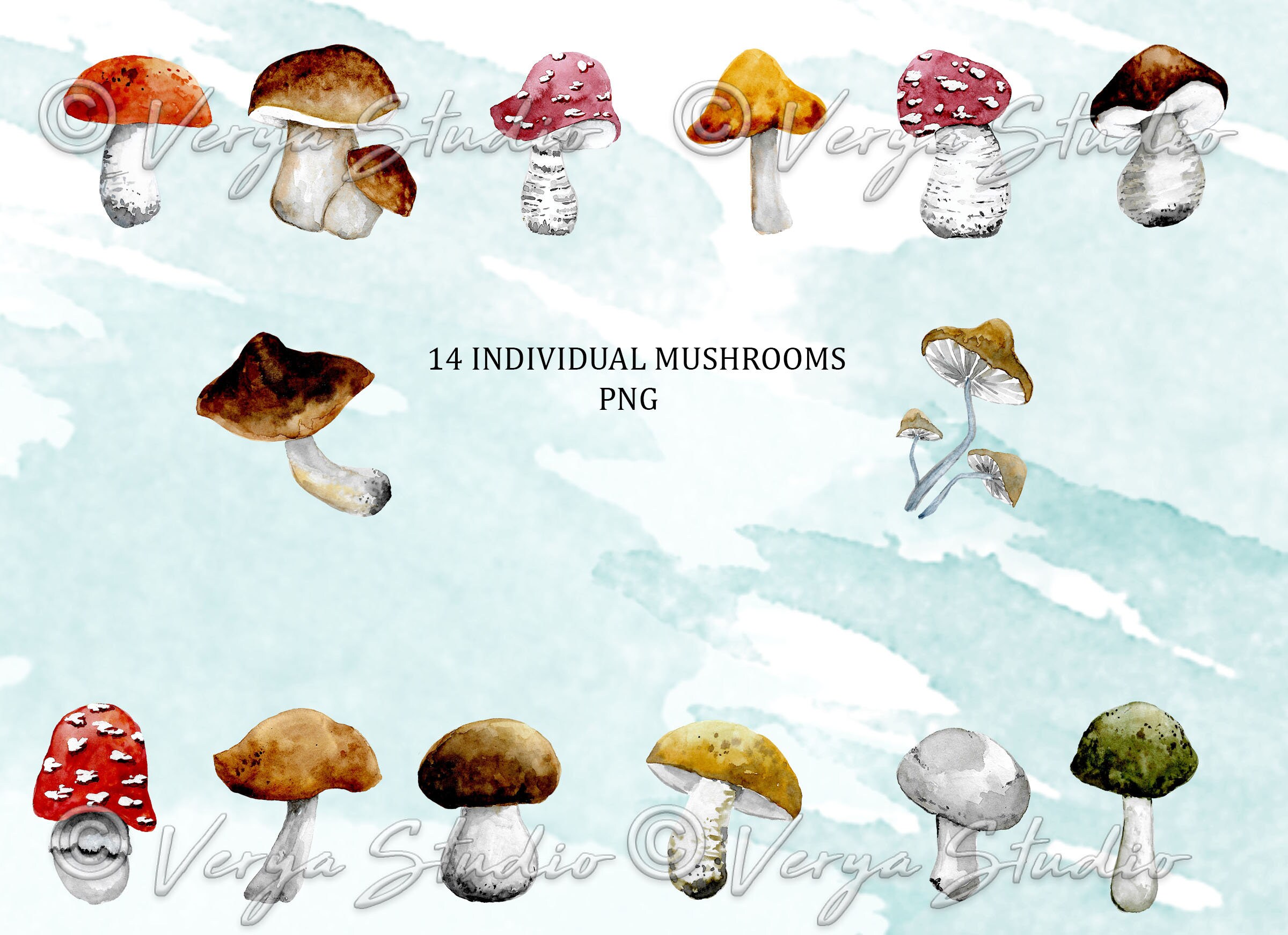 Watercolor Mushrooms Clipart Forest Clip Art Autumn Fall | Etsy
