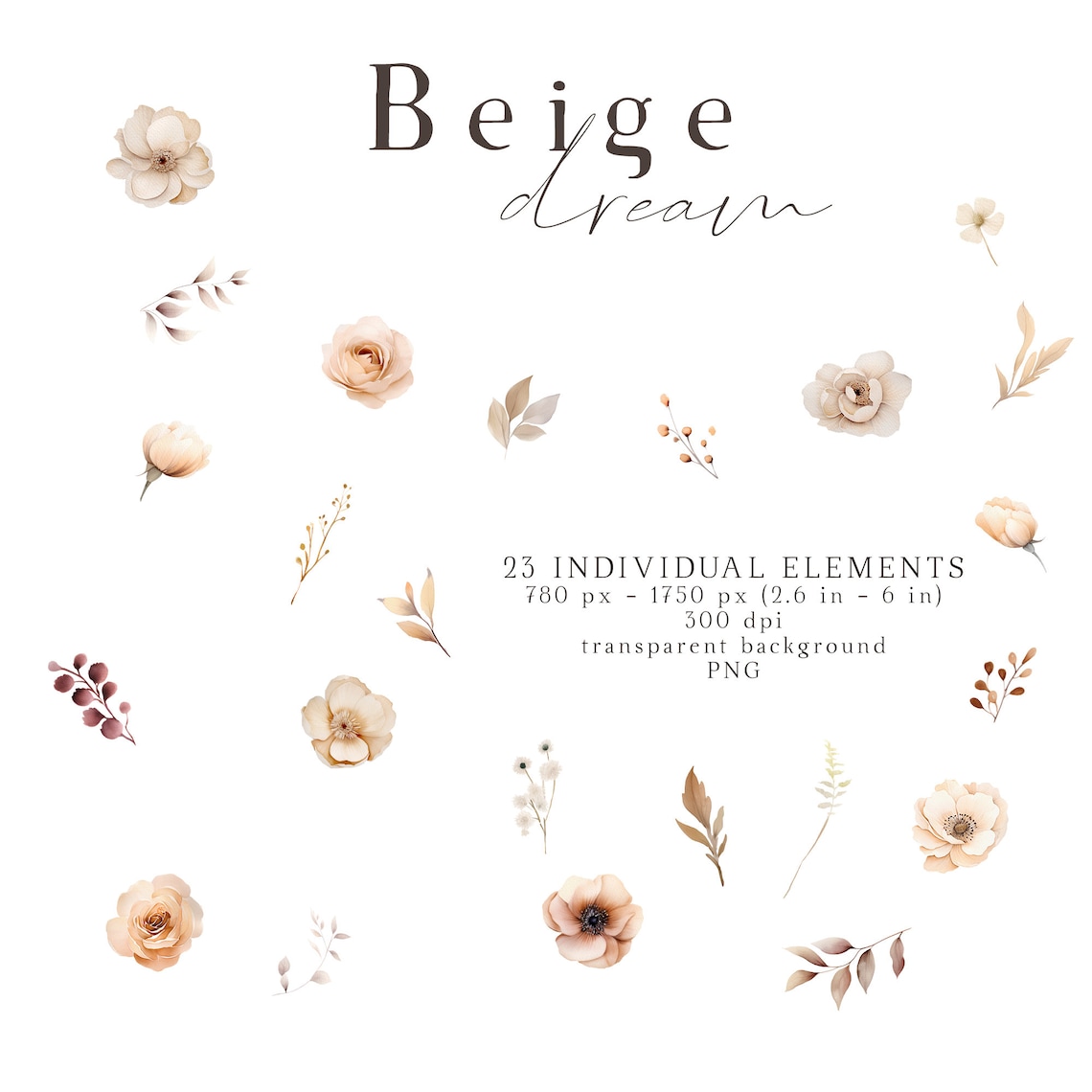 Beige Floral Clipart Watercolor Ivory White Flowers Clip Art Cream ...