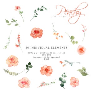 Peachy Floral Clipart Watercolor Peach Orange Flowers Clip Art Coral ...