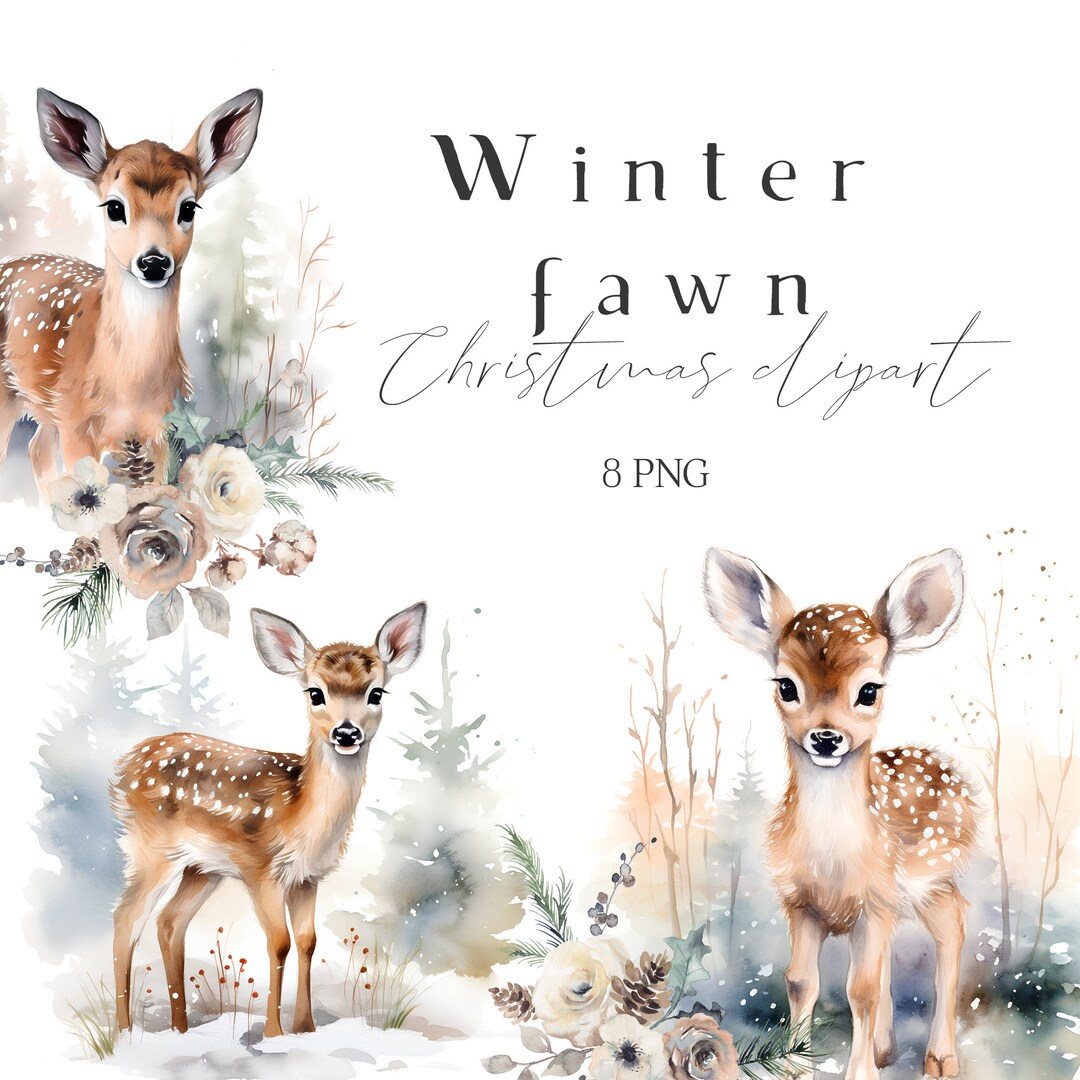 Winter Baby Deer Clipart Watercolor Fawn & Flowers Woodland Clip Art ...