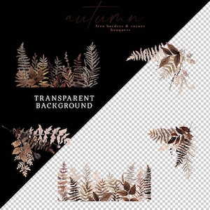 Fall Borders Watercolor Botanical Clipart Neutral Ferns Bouquets Brown ...