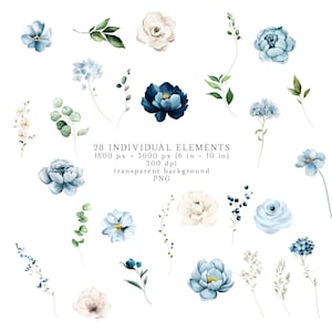 Blue Floral Clipart: Watercolor Peonies & Wildflowers (PNG) - Etsy