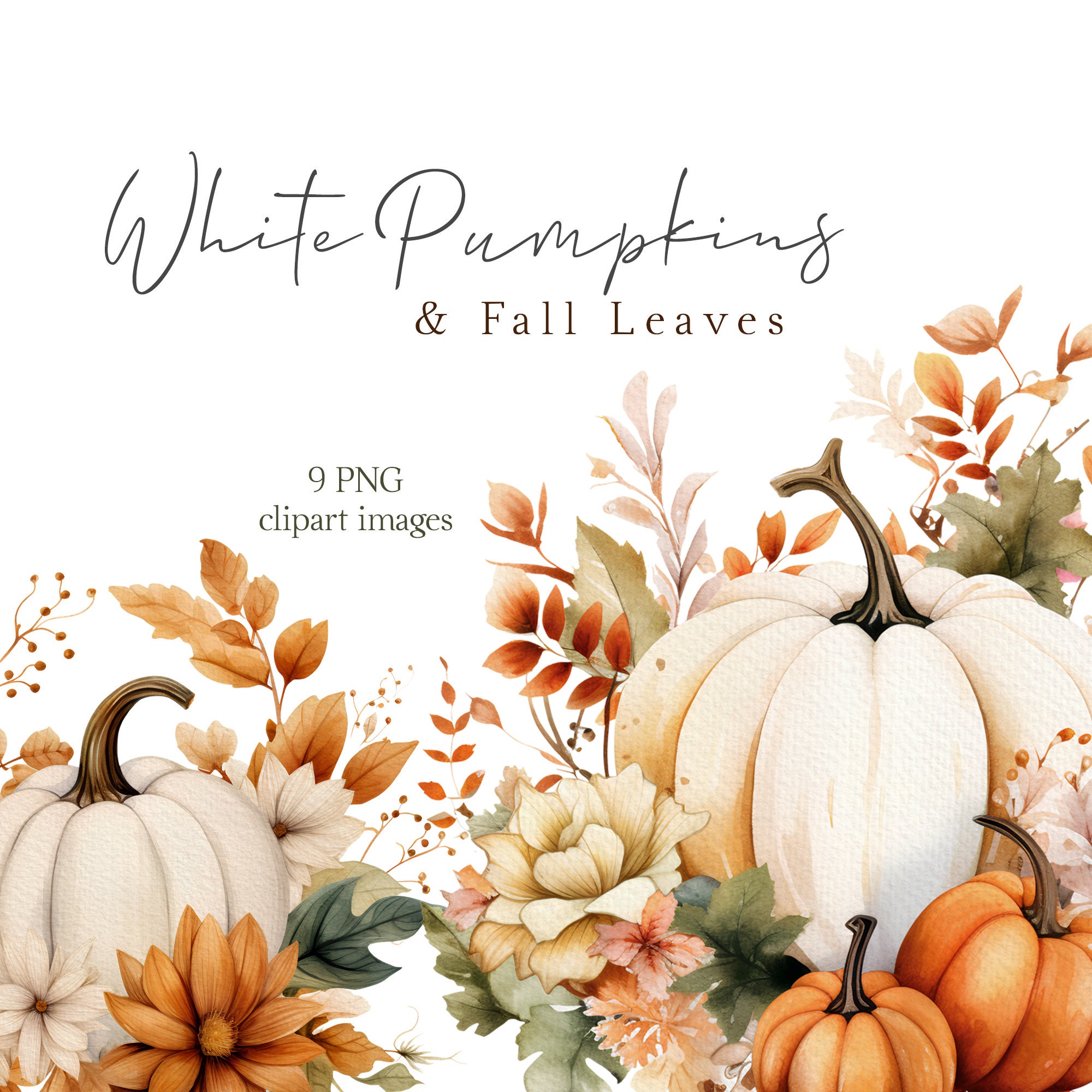 White Orange Fall Clipart Watercolor Pumpkins Clip Art Floral Autumn ...
