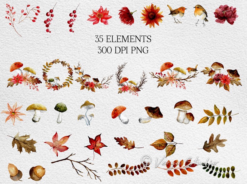Watercolor Autumn Leaf Mushroom Clipart, Autumn Cliparts, Fall ...