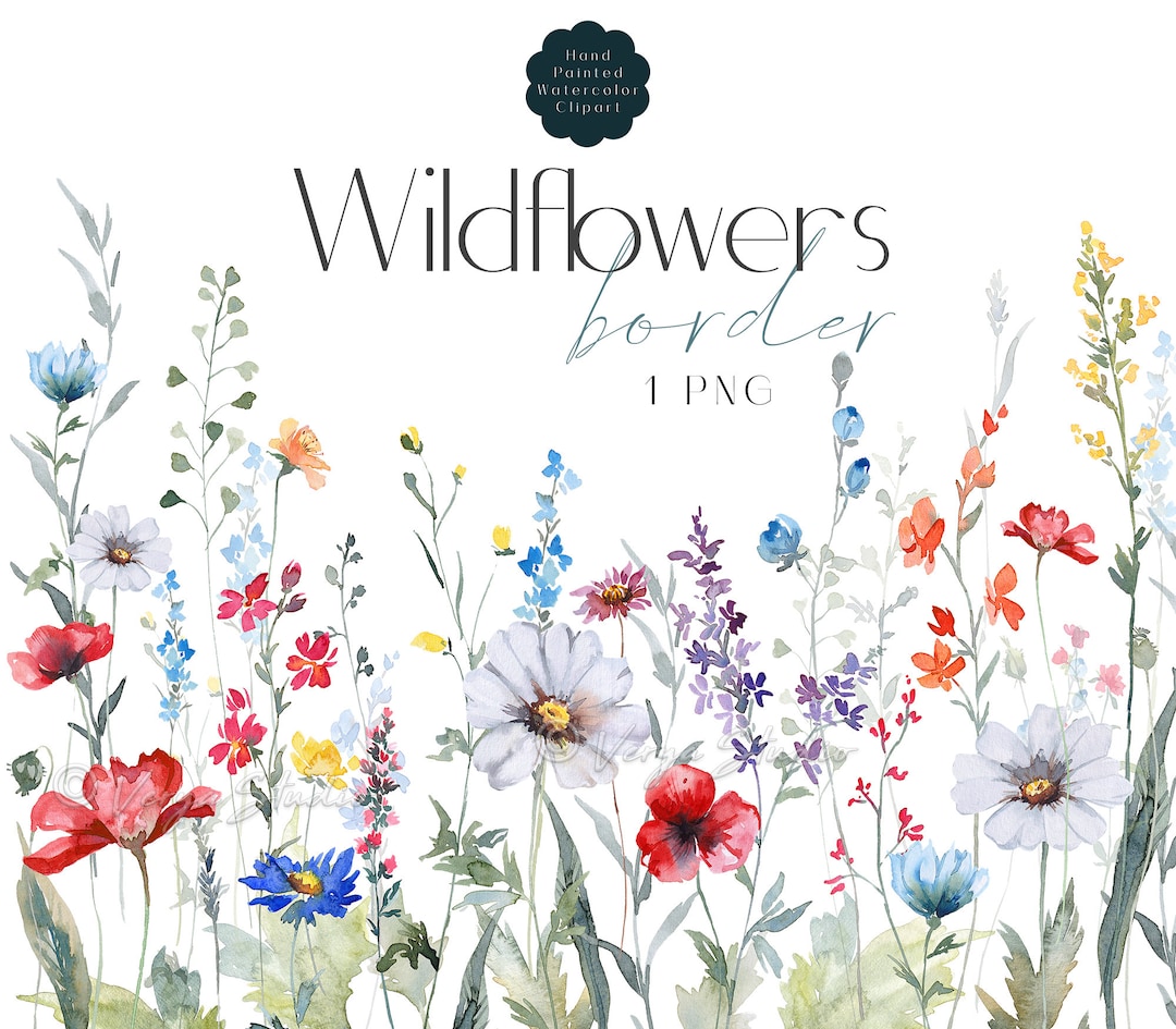 Wild Flower Floral Border - Watercolor Floral Clipart, Meadow Flowers ...