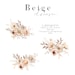 Beige Floral Clipart Watercolor Ivory White Flowers Clip Art Cream ...