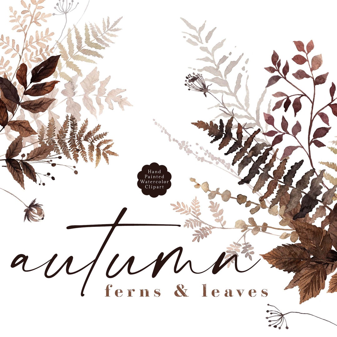 Boho Fern Fall Leaves Clipart Watercolor Dried Ferns Botanical Clip Art ...