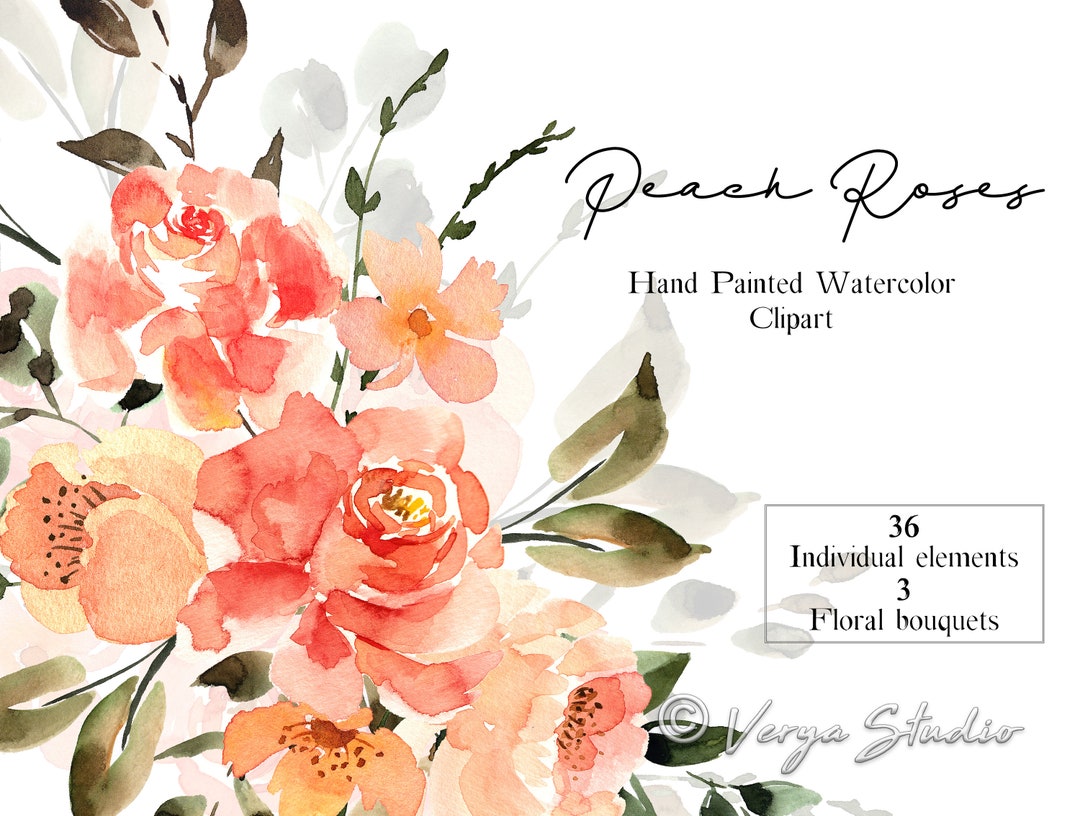 Peach Roses Watercolor Floral Clipart Loose Coral Flowers Orange Bridal ...