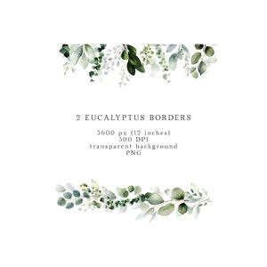 Eucalyptus Clipart Watercolor Leaves, Eucalyptus Borders PNG, Green ...